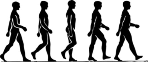 Walking Cycle Man Clip Art At Clker Vector Clip Art Online Royalty Free Public Domain