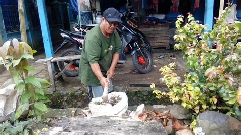 Sistem Sosial Indonesia Sahabat Sosiologi