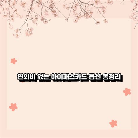 연회비 없는 하이패스카드 옵션 총정리