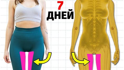 Как Сделать ПРОСВЕТ МЕЖДУ НОГ и Убрать Жир с ВНУТРЕННИХ БЕДЕР Youtube