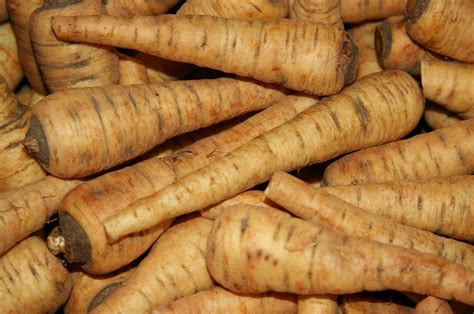 PARSNIP Harris Model Seeds Trust