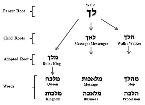 The Root System Of Hebrew Words Ahrc
