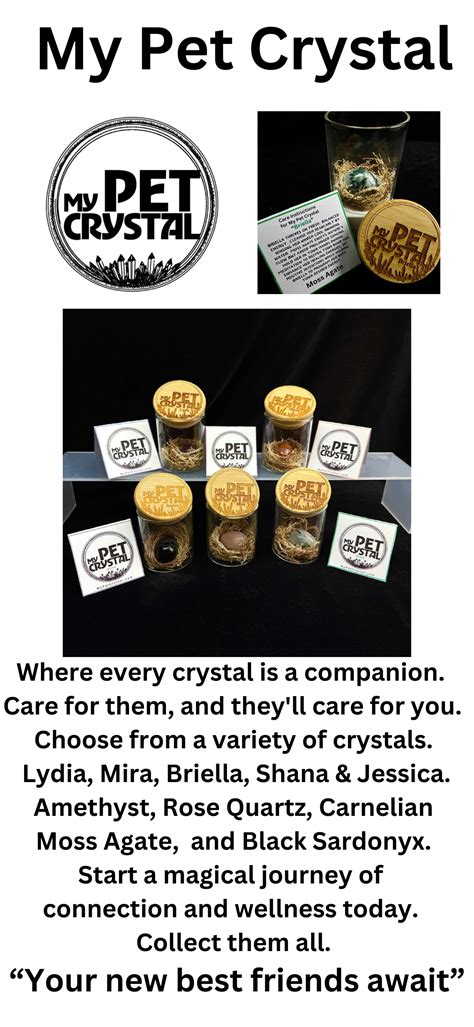The Original My Pet Crystal