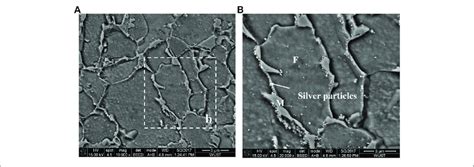 A Hydrogen Microprints Showing Hydrogen Concentration At The F M Download Scientific