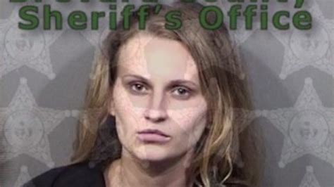Woman Faces Misdemeanor Animal Cruelty Charge After Hitting Dog Fox