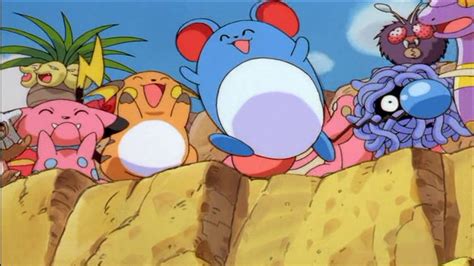 Filepokémon Theme Park Various 6png Bulbagarden Archives