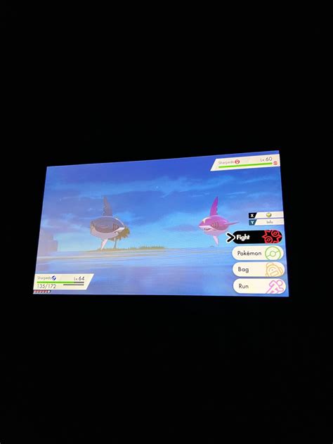 [8] A Wild Shiny Sharpedo Appeared R Shinypokemon