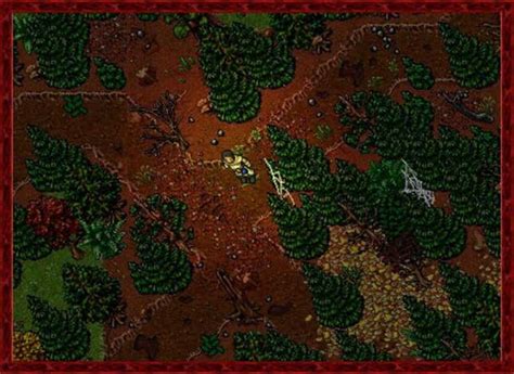 Tibia Screenshots And Videos Kotaku