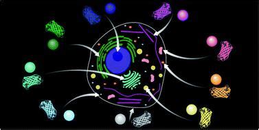 Organic Biomolecular Chemistry X Mol