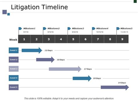Litigation Timeline Ppt Powerpoint Presentation File Images