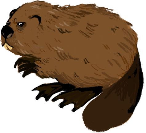 Tarmo Majava Mieletöntä Valoa