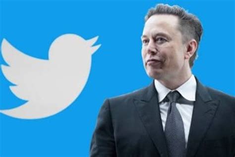 Bikin Polling Elon Musk Haruskah Saya Mundur Dari Ceo Twitter
