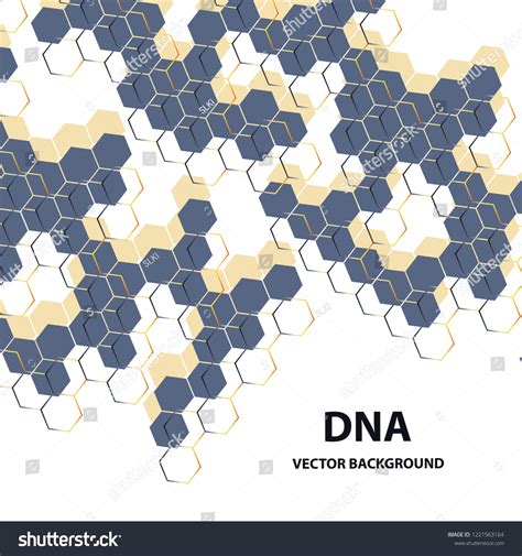 Dna Structure Double Helix On White Stok Vektör Telifsiz 1221563164 Shutterstock