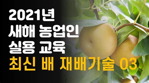 2021 새해농업인 실용교육 배 재배기술 03 Youtube
