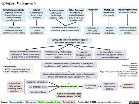 Epilepsy Pathogenesis Calgary Guide