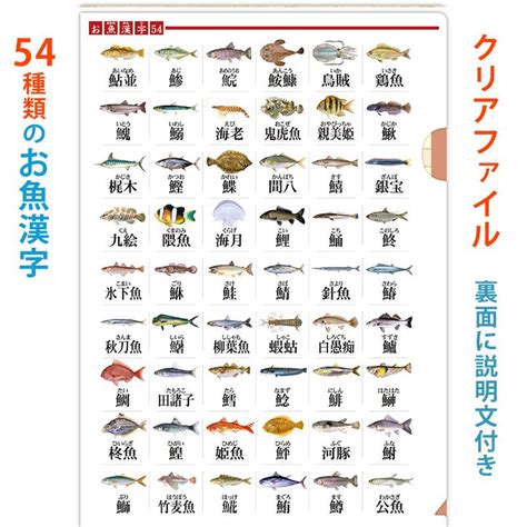 魚の種類漢字一覧 魚へんの漢字一覧表 Qhrz