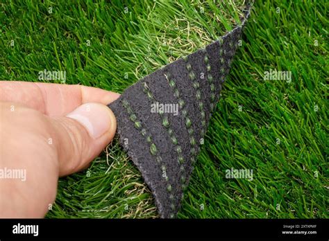 Artificial Grass Installation Revealing Turf Backing Structure Stock