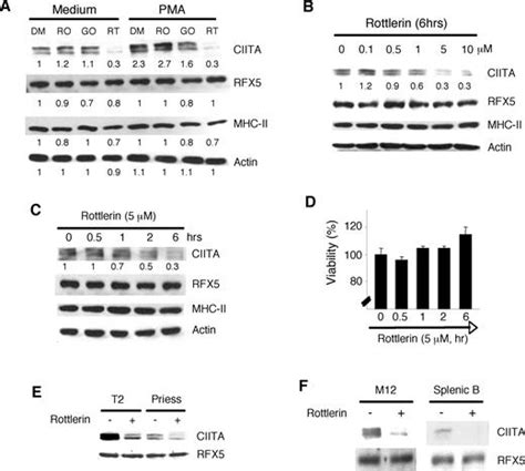 Protein Kinase Cδ Is Essential To Maintain Ciita Gene Expression In B