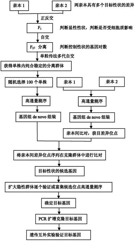 Method For Batch Gene Clone Eureka Patsnap