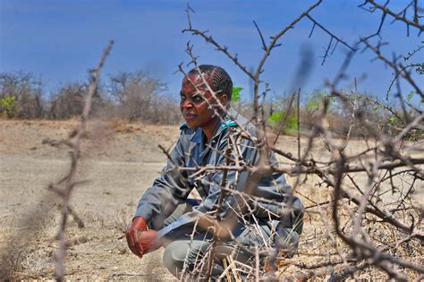‘i Have Crossed That River Of Fear Tinyiko Golele A Regional Ranger