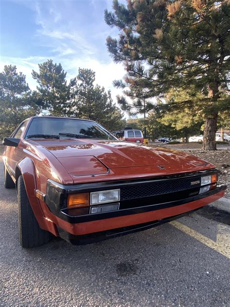 The Hammerhead Worm Is A Terrifying Toxic Terrestrial Flatworm