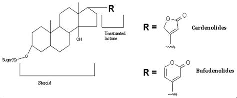 Cardiac Glycoside Liberal Dictionary