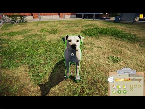Animal Shleter #4 - YouTube