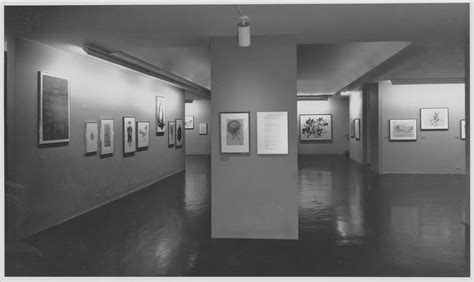 60 Modern Drawings Recent Acquisitions Moma