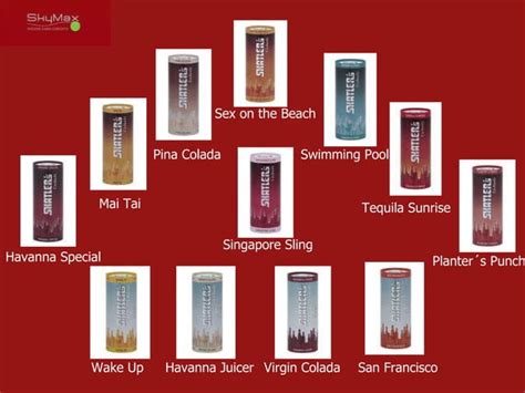 Skymax Modern Cabin Concepts Ppt
