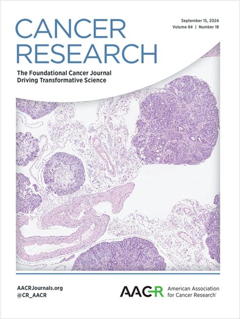 Asparagine Dependency Is A Targetable Metabolic Vulnerability In Tp53