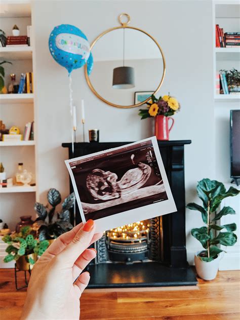 Pregnancy Diary First Trimester — Sweet Monday