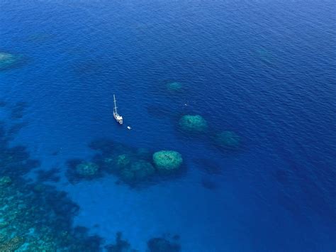 Coral Sea Dreaming Actualizado 2026 Qué Saber Antes De Ir Con