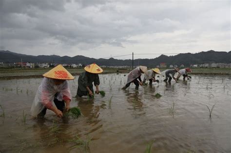 鸣笛启程 视觉江西 大江网首页