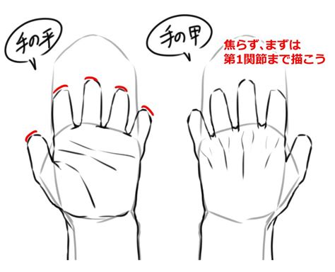 动漫手的轮廓怎么画教你初学者手部轮廓的画法教程 知乎