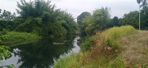 เสนอขายที่ดินเป็นสวนผลไม้ มังคุด ทุเรียน ติดแม่น้ำจันทบุรี เนื้อที่ 3 ไร่กว่าๆ ตำบลวังแซ้ม อำเภอ