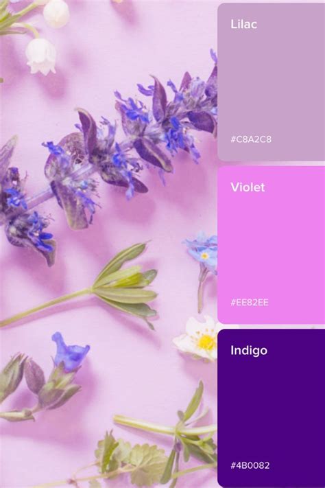 Plum Rgb Cmyk Hex Color Codes And Color Meaning Color Meanings Hex
