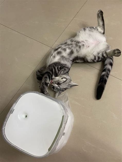 Умная поилка-фонтан c Wi-Fi для кошек и собак Xiaomi Mijia Smart Pet ...