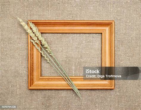 삼베의 배경에 소박한 나무 프레임과 밀 귀 맨 위 보기입니다 복사 공간 0명에 대한 스톡 사진 및 기타 이미지 0명 갈색 거친 Istock