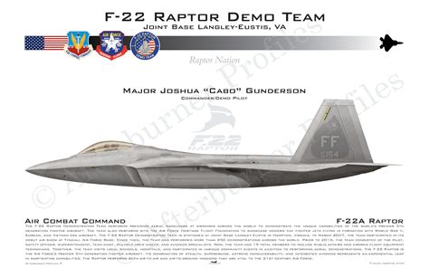 F 22 Raptor Demo Team Linkedluda
