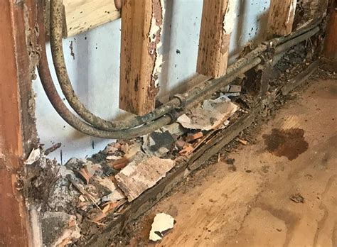 Termite2 Bob Gunn Termite Solutions