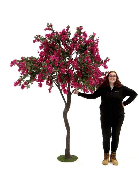 Y Shaped Tree 2 7m Bougainvillea Eph Creative Event Prop Hire
