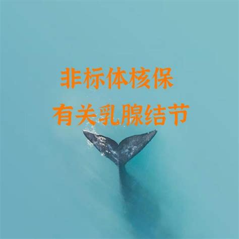 非标体投保 有关乳腺结节 知乎