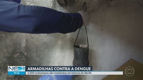 Vídeo Armadilhas contra o mosquito Aedes aegypti são instaladas em