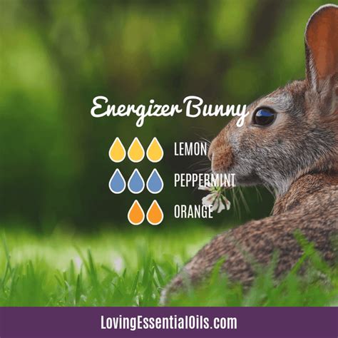 8 Aromatherapy Diffuser Blends To Enhance Your Mood Loving Essential Oils