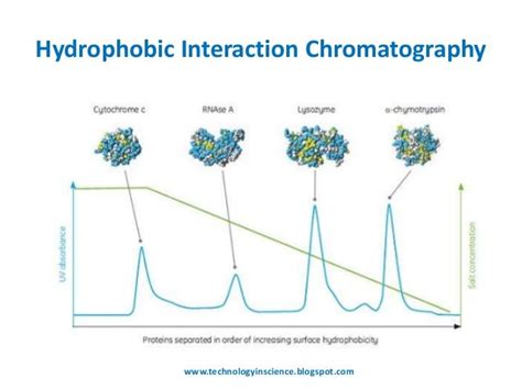 Hydrophobic Interaction Chromatography [hic] Theory And Principle