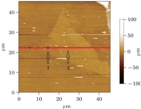 Irradiation Effects Of Graphene And Thin Layer Graphite Induced By Swift Heavy Ions