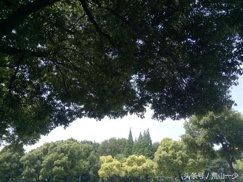 不會溜須拍馬的人，如何曲線破局站穩？可以試試 每日頭條