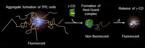 Stimuli Responsive Poly 2 Isopropyl 2 Oxazoline Materials