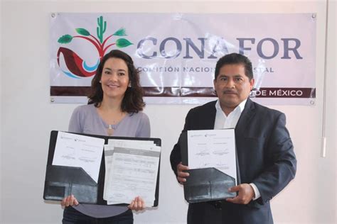 Toluca firma acuerdo con CONAFOR para donación de 100 mil plantas y árboles
