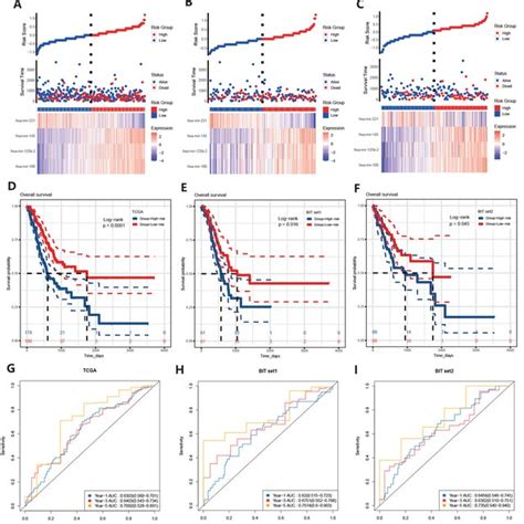 The Flow Chart Of The Study On Establishing A Multigene Model To